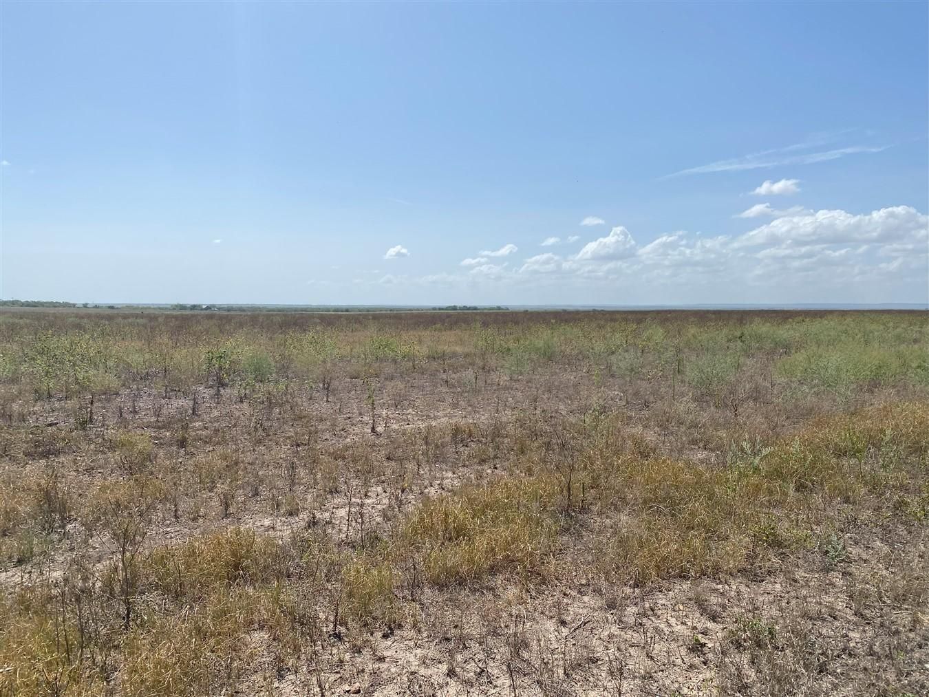 FM 503, Doole, TX 76862 | MLS: 20700714 | Land.com