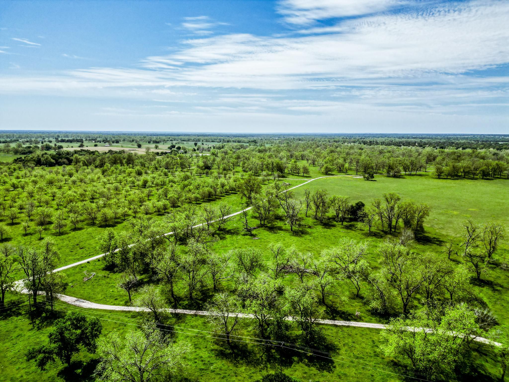 16726 TX-21, Midway, TX 75852 | Land.com