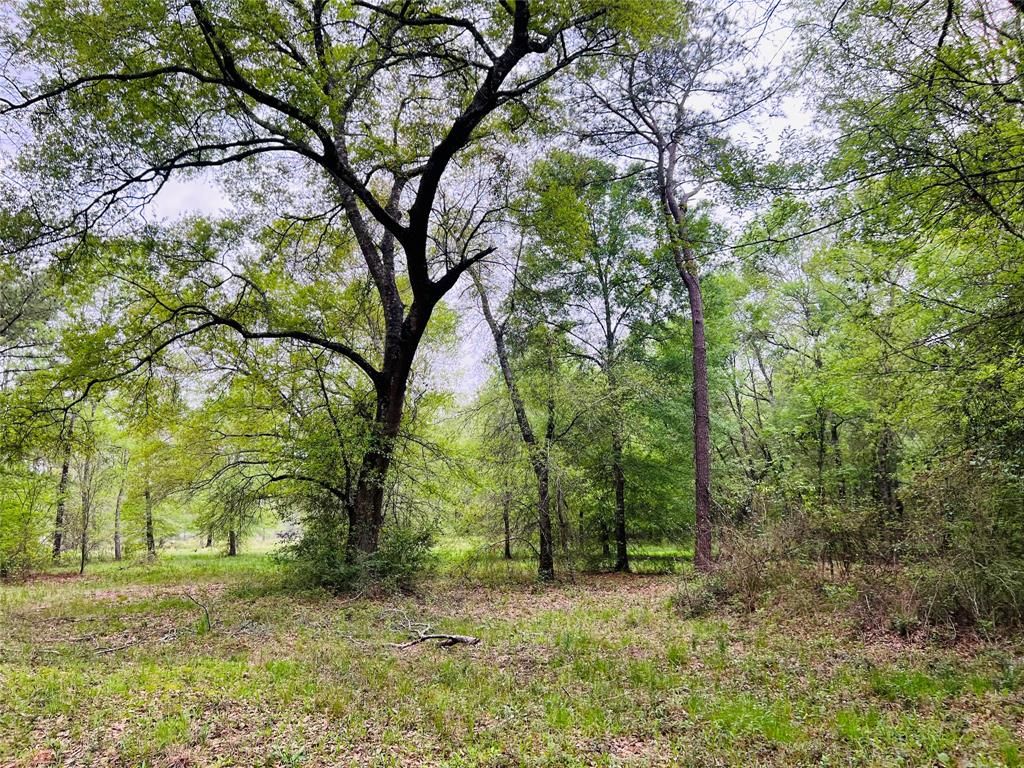 0 Creighton, Conroe, TX 77302 | MLS: 56251088 | Land.com