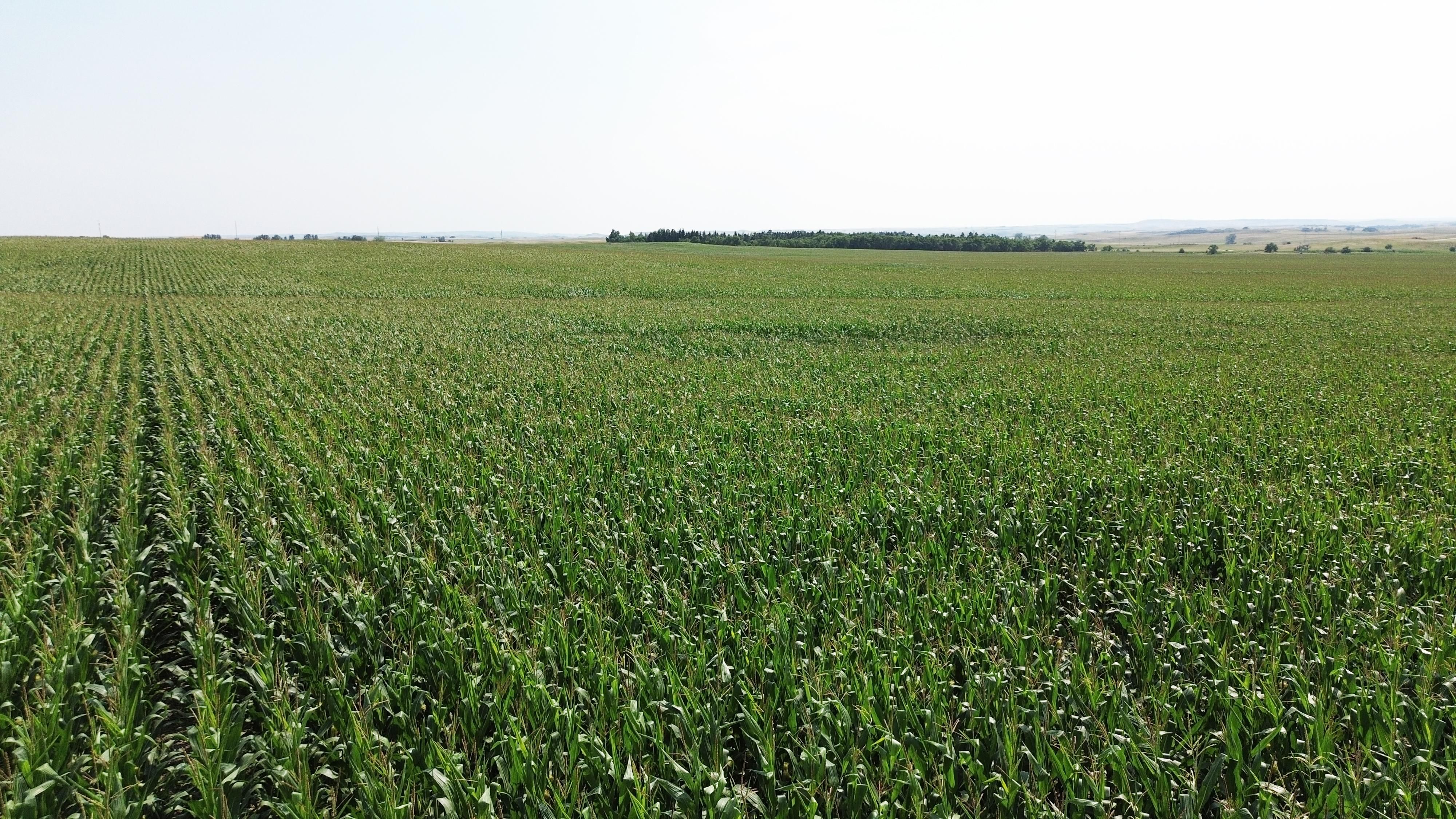 3145 County Road 139A, Mandan, ND 58554 | Land.com