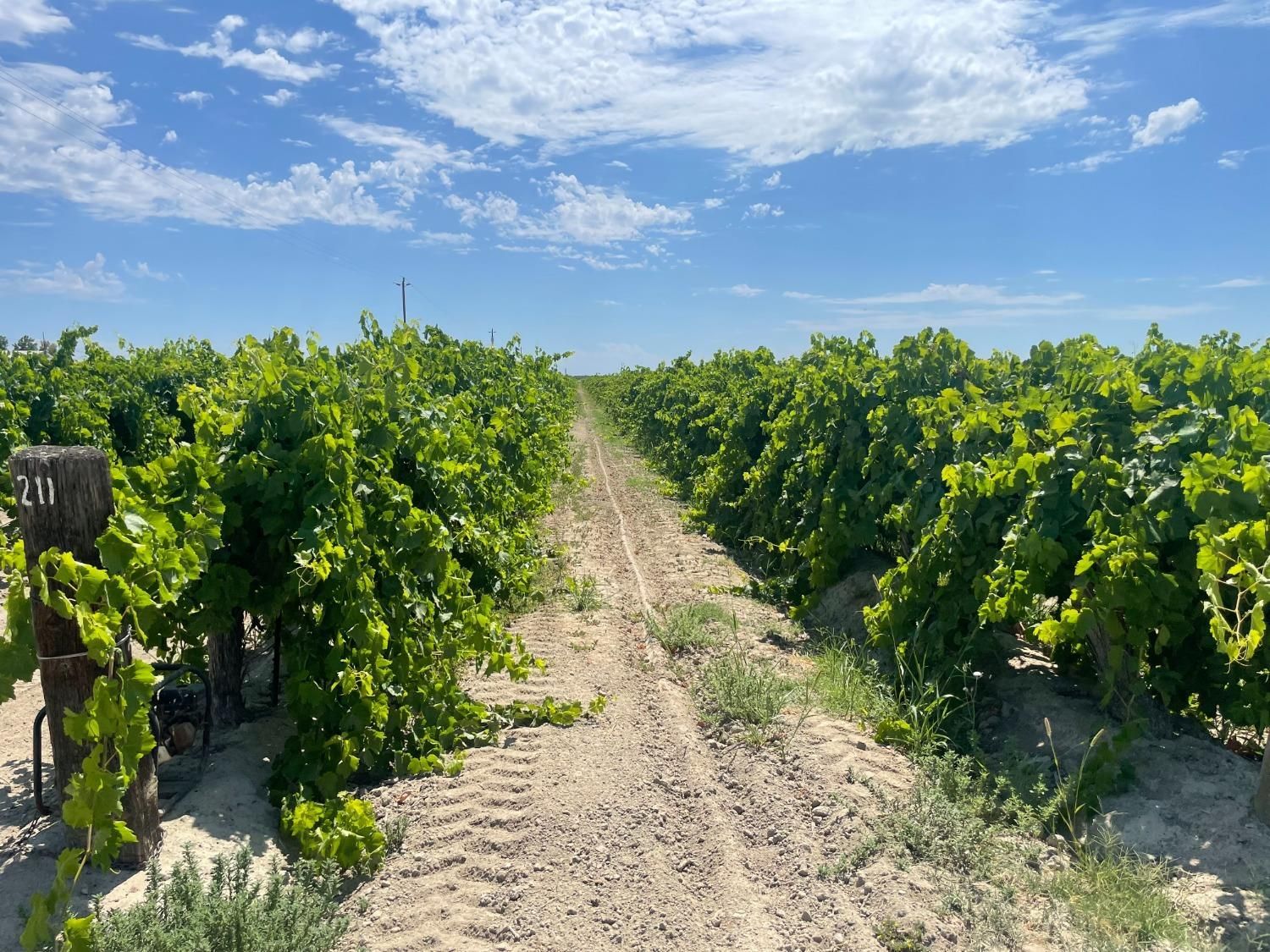 1 S Plumas Ave, Kerman, CA 93630 | MLS: 614197 | Land.com