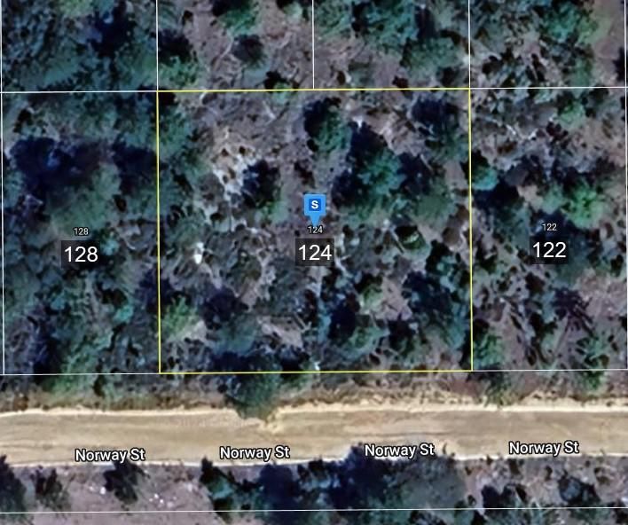 124 Norway St, Interlachen, FL 32148 | Land.com