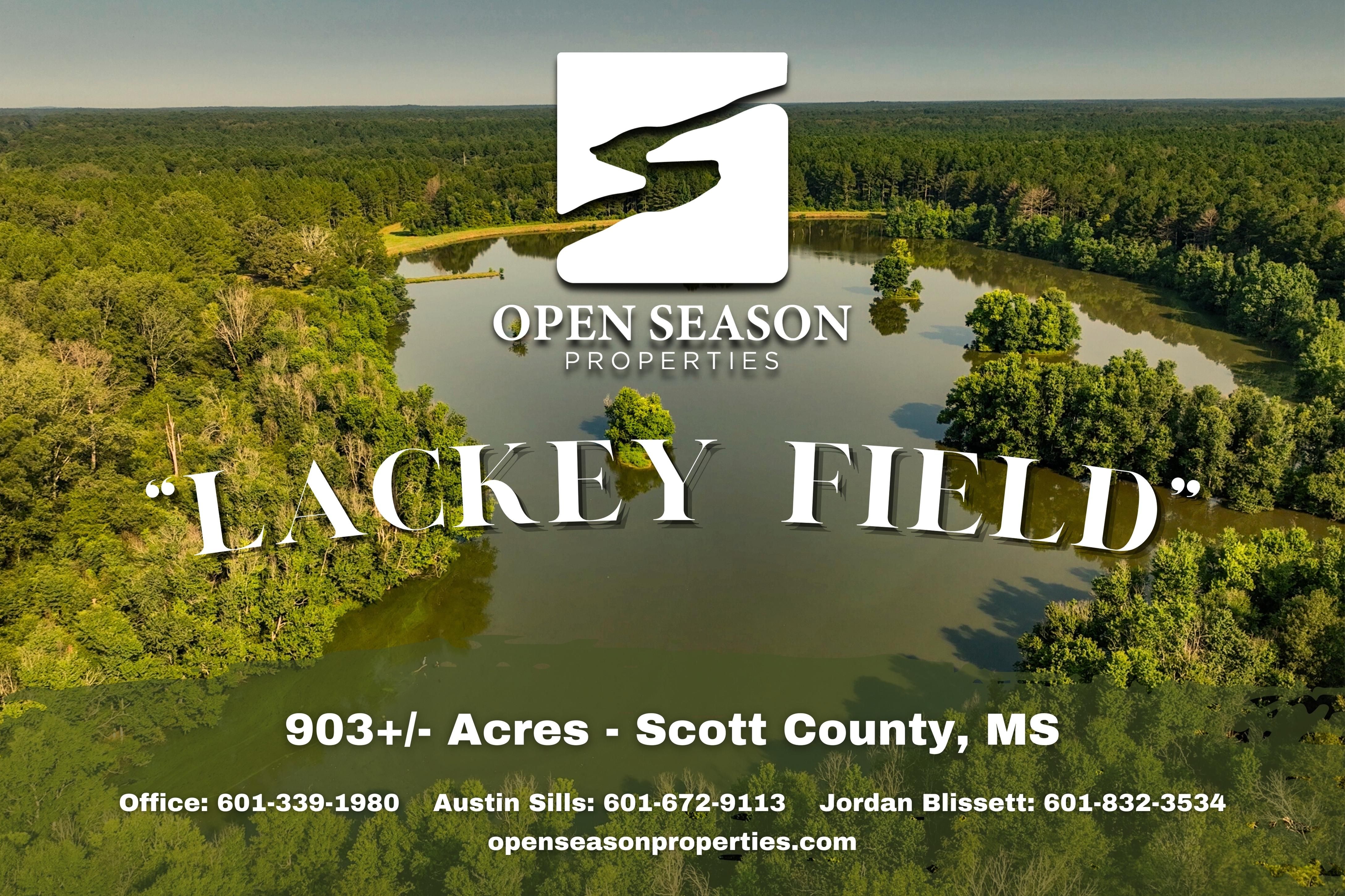 903 acres in Forest, MS, 39074 | Land.com