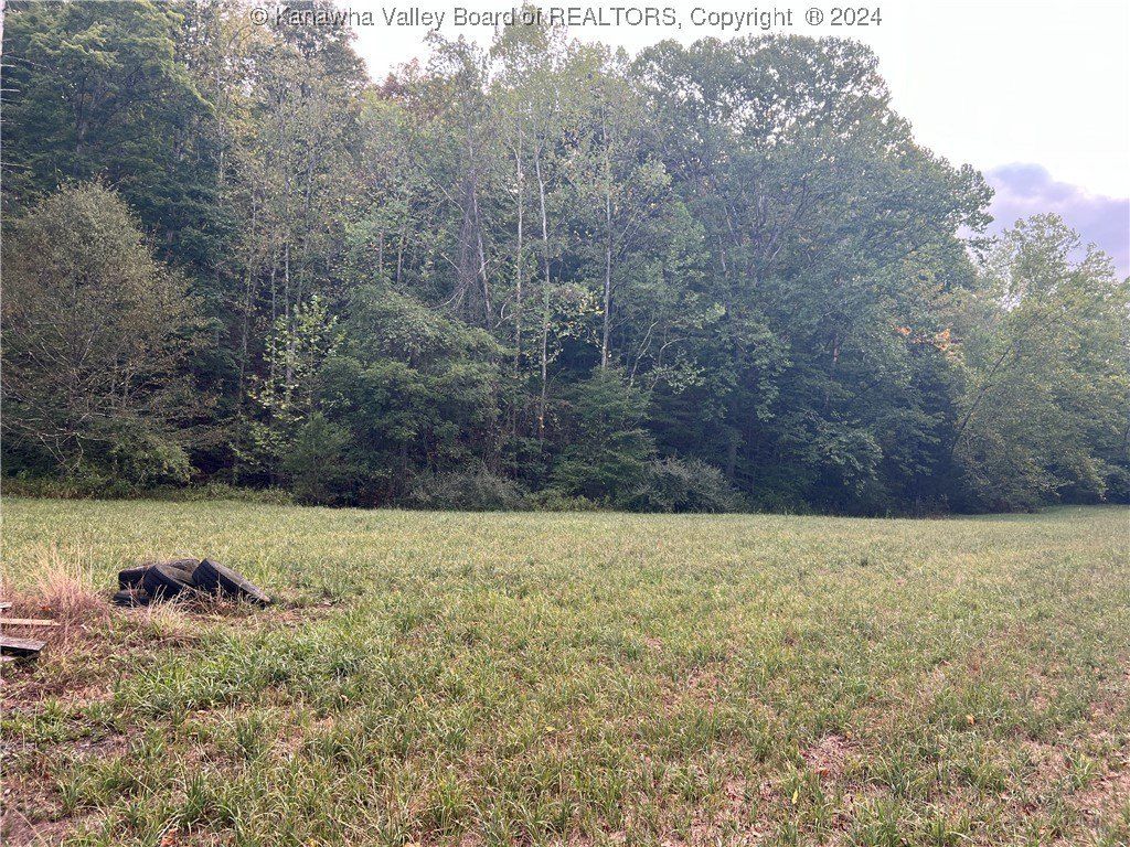 0 Spring Branch, Leon, WV 25123 | MLS: 273777 | Land.com