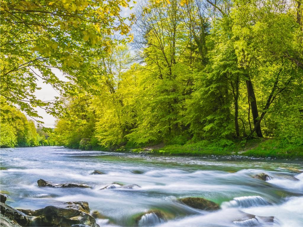 U.S. 127, Dunlap, TN 37327 | MLS: River Ridge Farms | Land.com