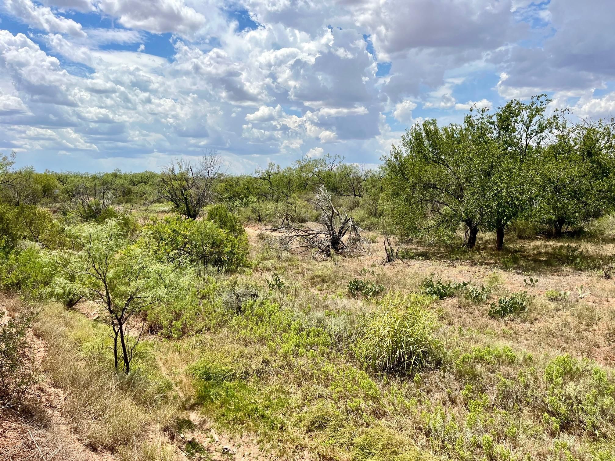 Juniper Rd, Bronte, TX 76933 | MLS: 3449313 | Land.com