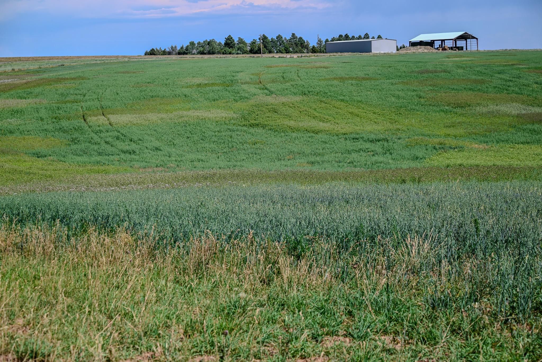 144 acres in Yellow Jacket, CO, 81335 | Land.com