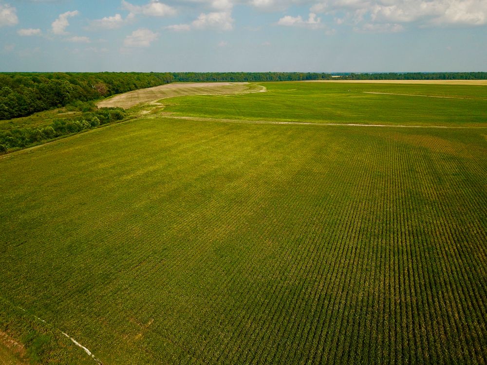 TBD High Point Rd, Pocahontas, AR 72455 | MLS: Randolph 297 | Land.com