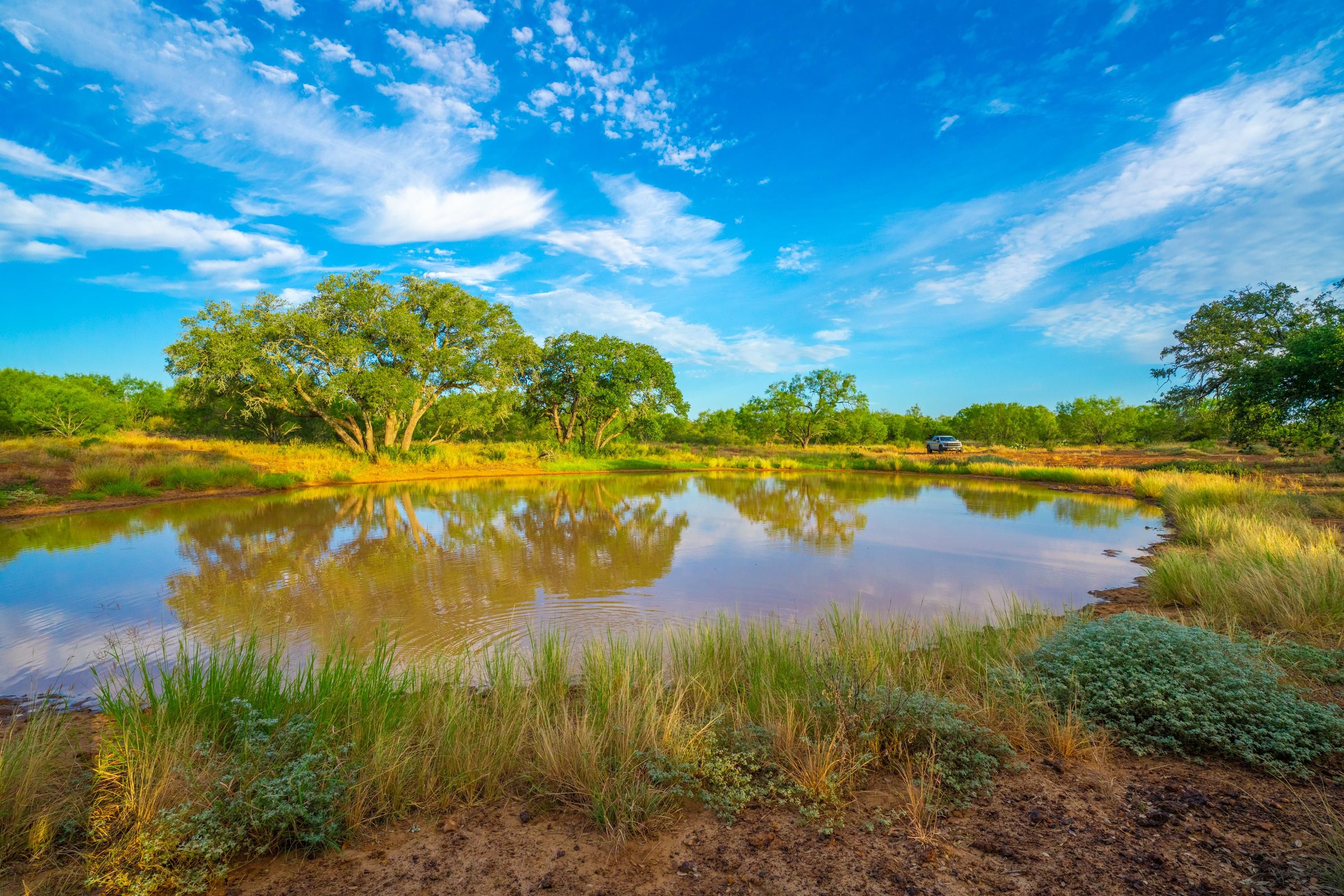 5533 FM1582, Pearsall, TX 78061 | MLS: 1804175 | Land.com