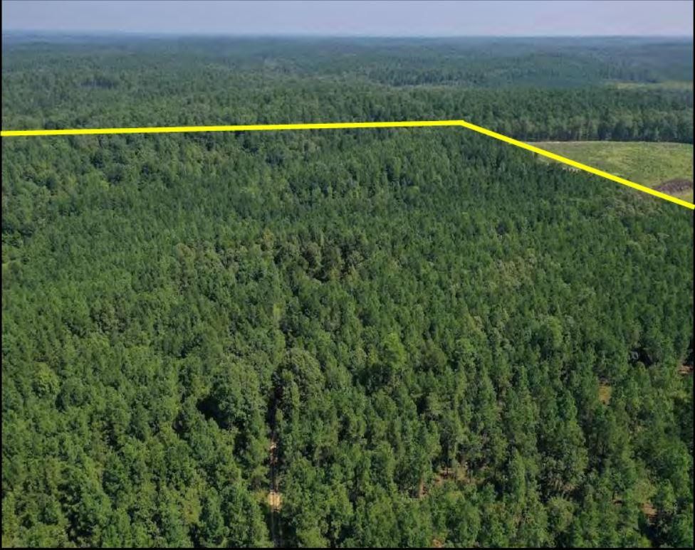 Ouachita 326 Road, Chidester, AR 71726 | MLS: 5109 - White Oak Lake ...