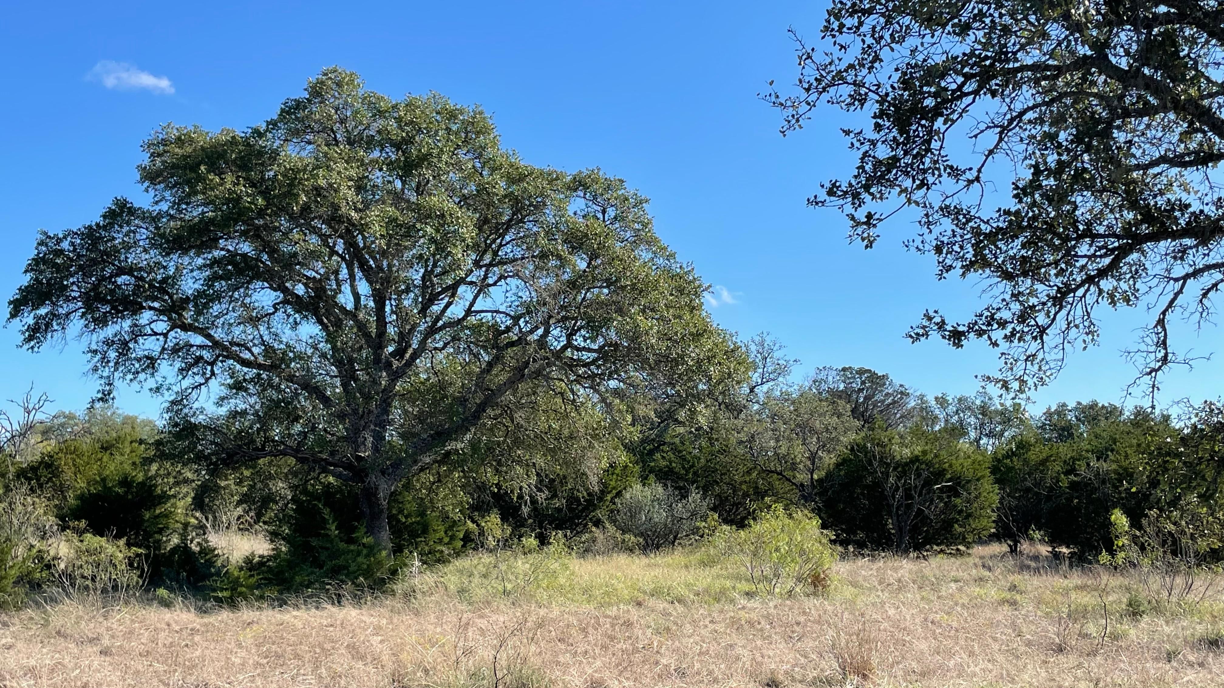 300 Burr Oak Drive, Goldthwaite, TX 76844 | Land.com