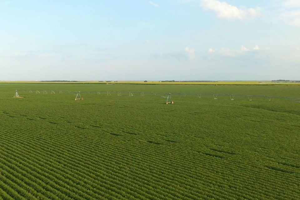 Road Q, Alexandria, NE 68370 | Land.com