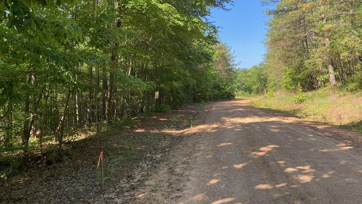 County Road 312, Walnut, MS 38674 | Land.com