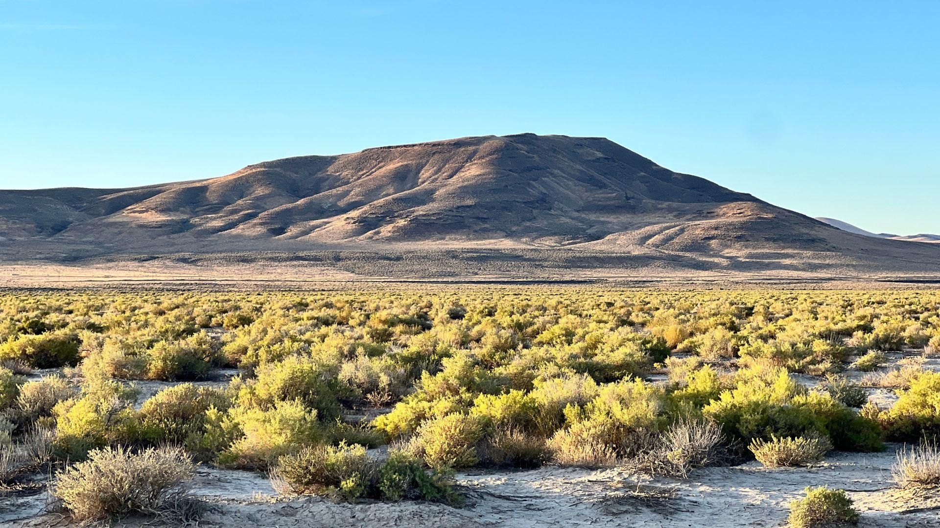 Paiute Ln, Reno, NV 89510 | MLS: 074-510-37 | Land.com