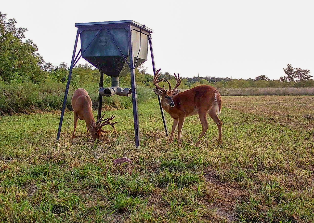 0000 N 40th Street, Walnut, KS 66780 | MLS: Crawford 80 | Land.com