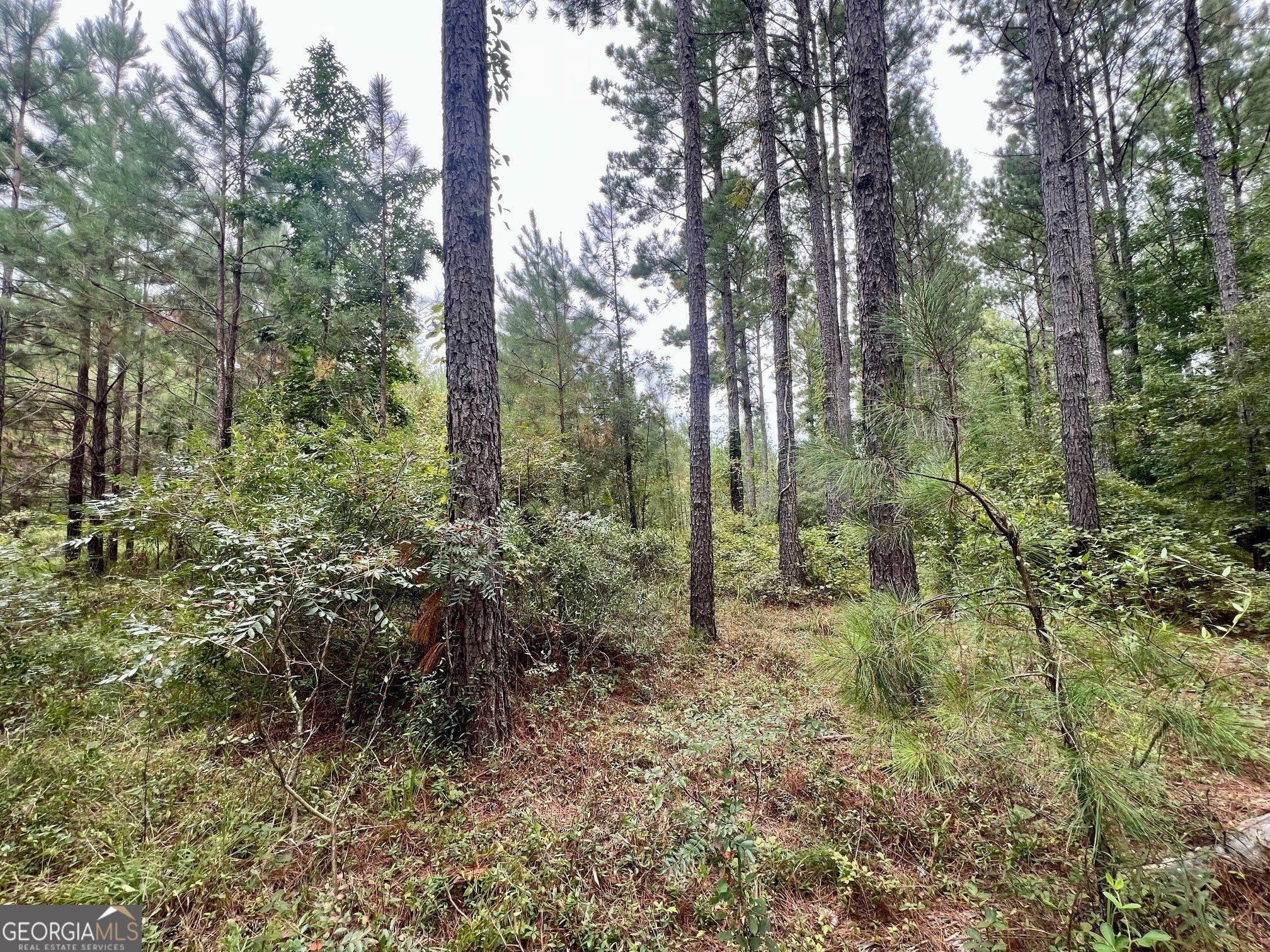 1177 Tarver Rd, Davisboro, GA 31018 | MLS: 20122899 | Land.com