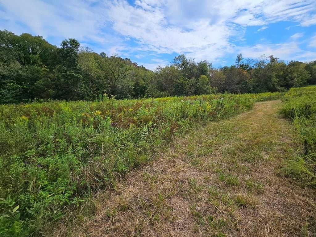 Highway 96, Buffalo Valley, TN 38548 | MLS: 229804 | Land.com