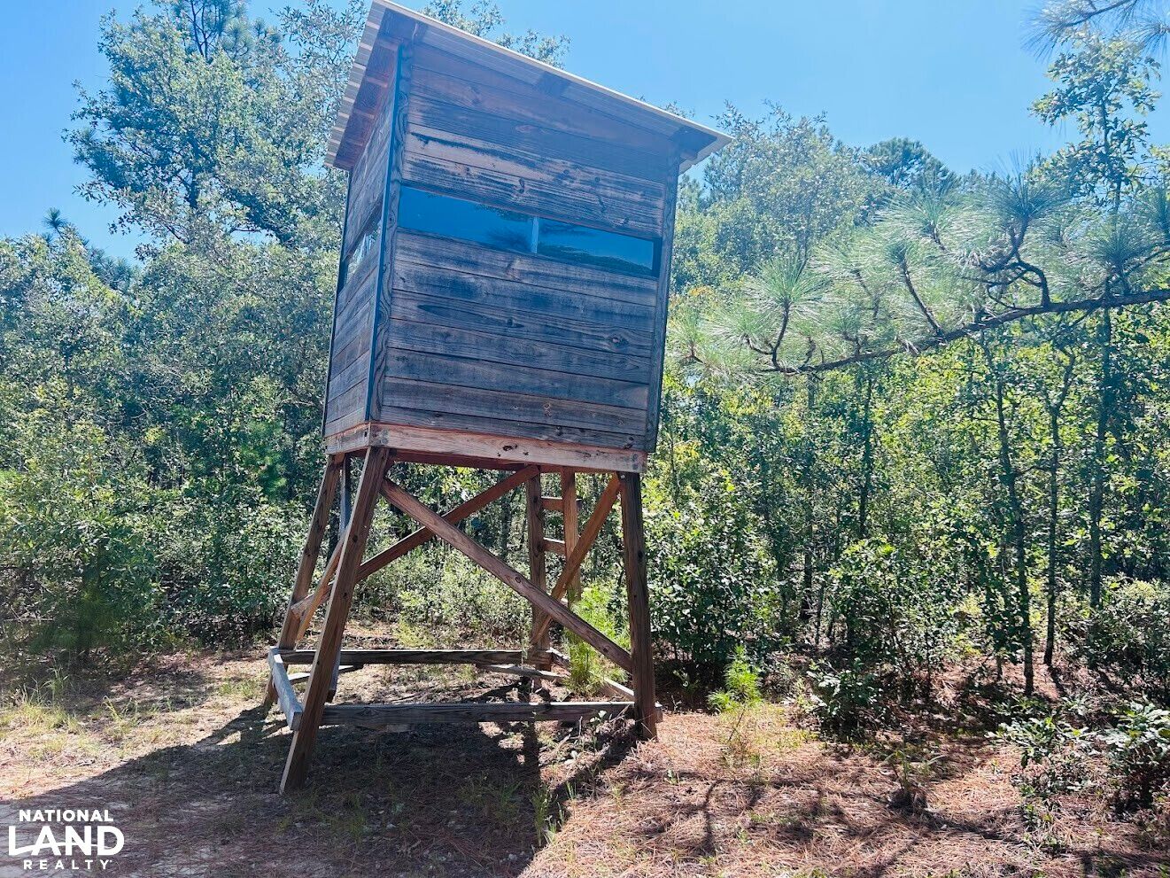 0 Hwy 96, Butler, GA 31006 | Land.com