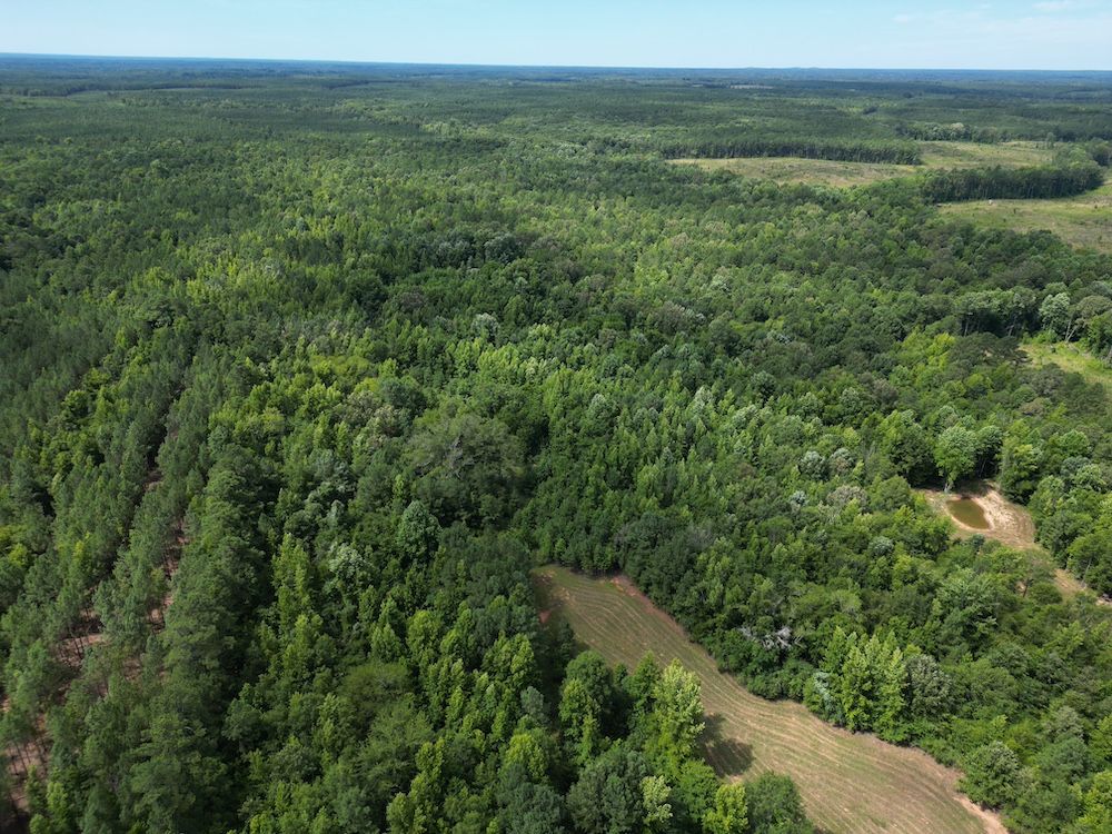 Zoar Road, Lot#WP001, Saluda, SC 29138 | Land.com