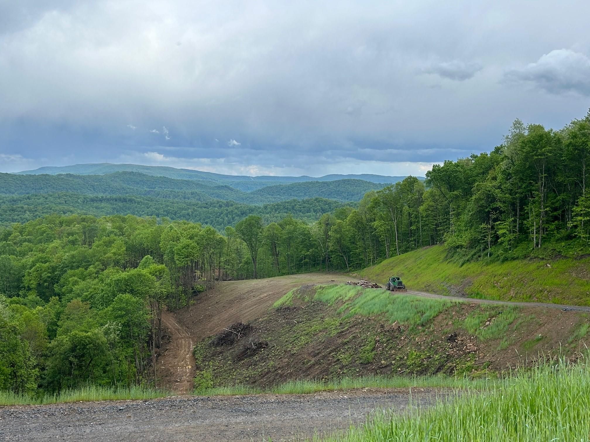 Irish Mountain Road, Spring Dale, WV 25976 | Land.com