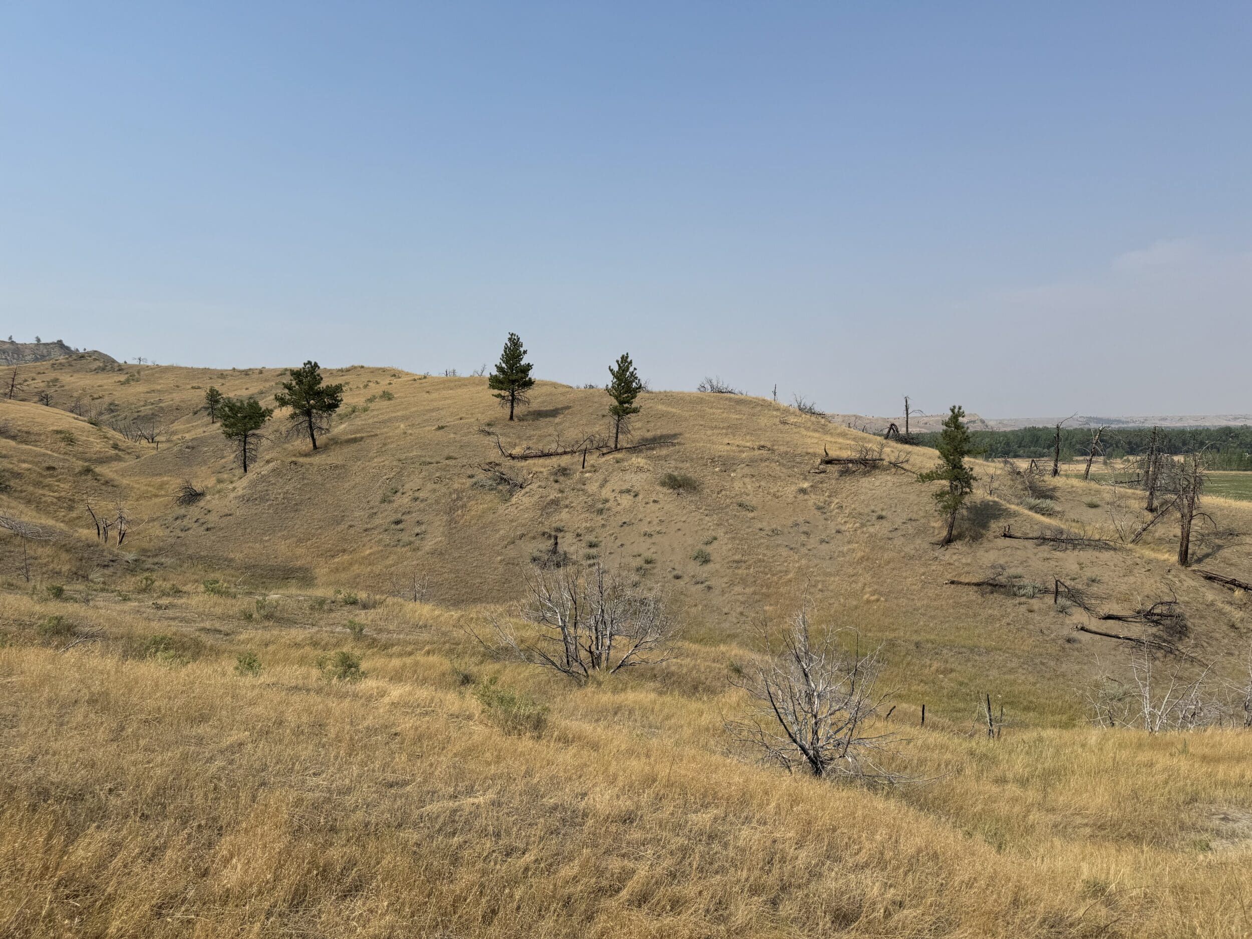 TBD Blood Creek Road, Winnett, MT 59087 | Land.com
