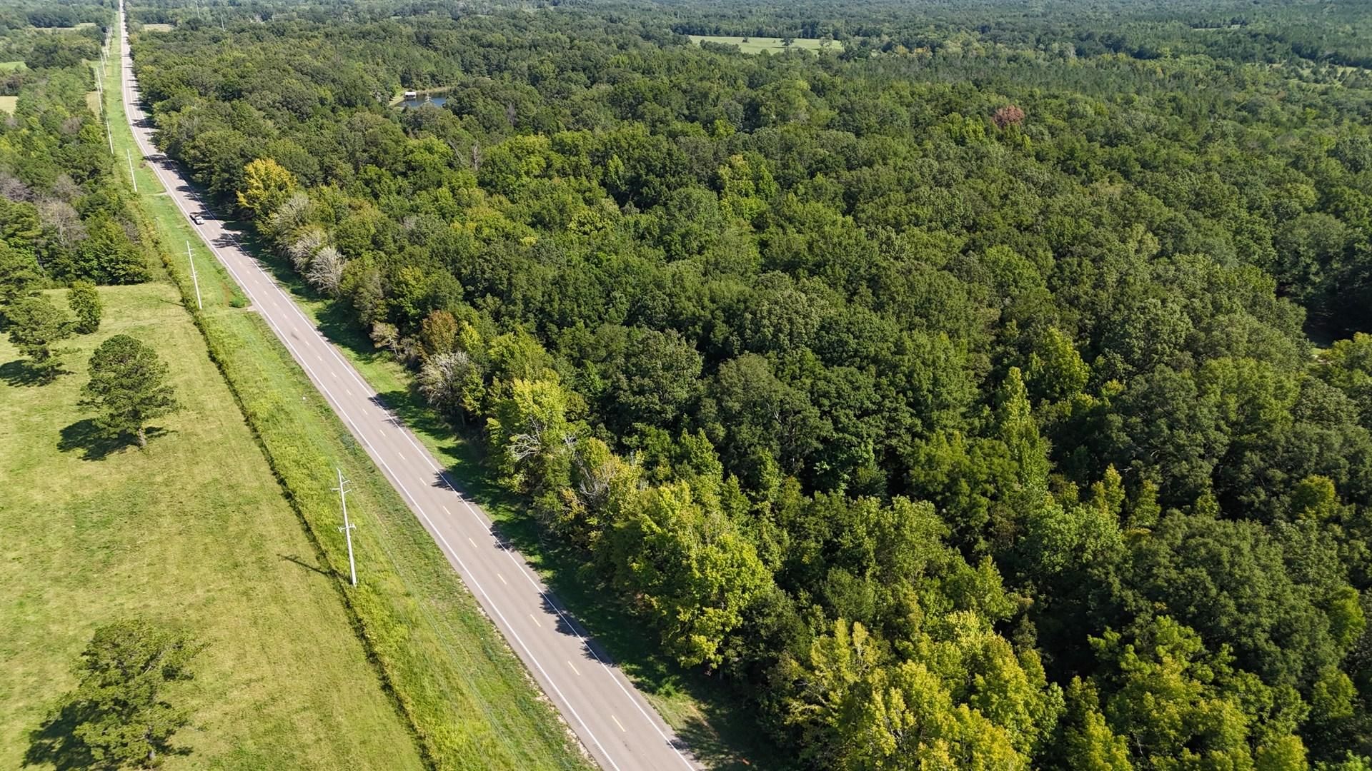 Alabama Highway 28, Catherine, AL 36728 | MLS: 01062-10018 | Land.com