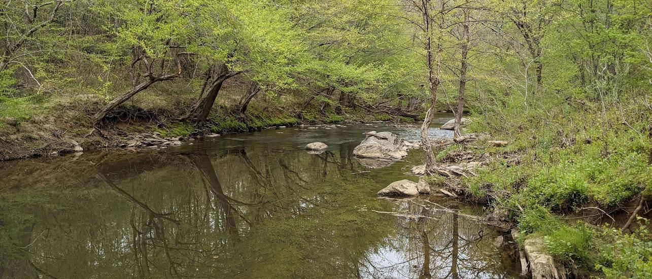 Lewistown Road, Locust Grove, VA 22701 | Land.com