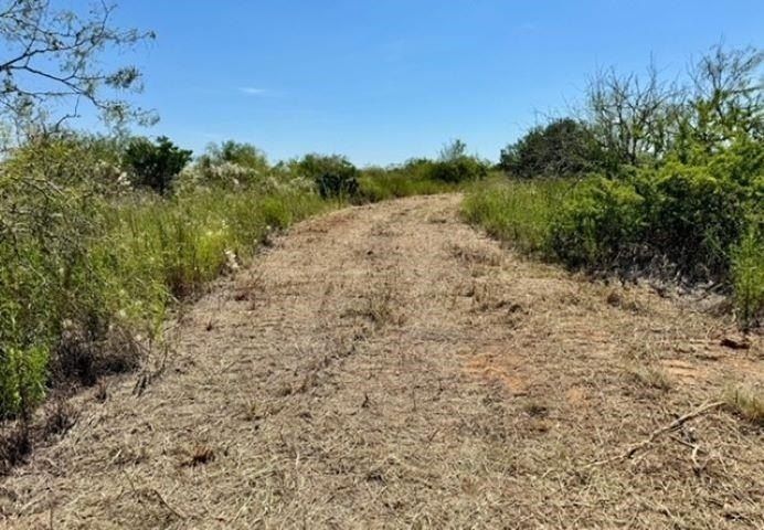 0 FM 716, Ramirez, TX 78376 | MLS: 20243697 | Land.com