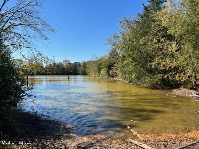 32 Skating Rink Rd Road, Red Banks, MS 38661 | MLS: 4078847 | Land.com