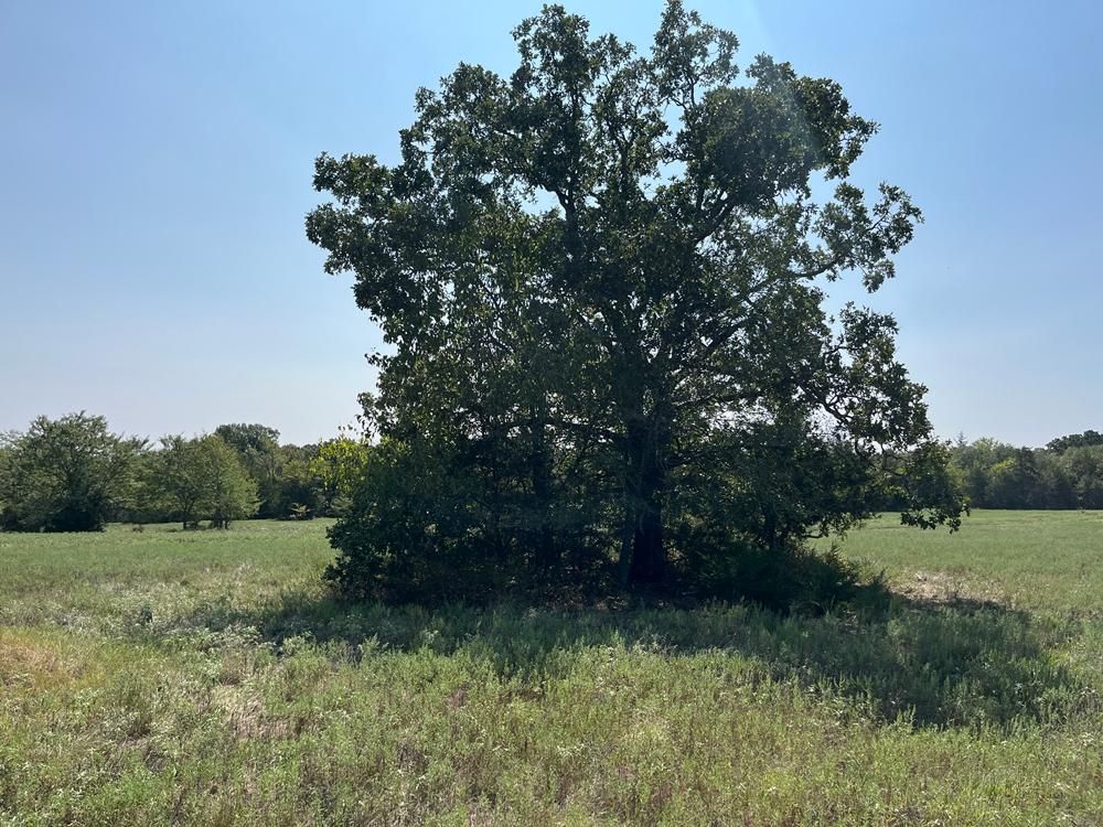11.26 acres in Rattan, OK, 74562 | Land.com