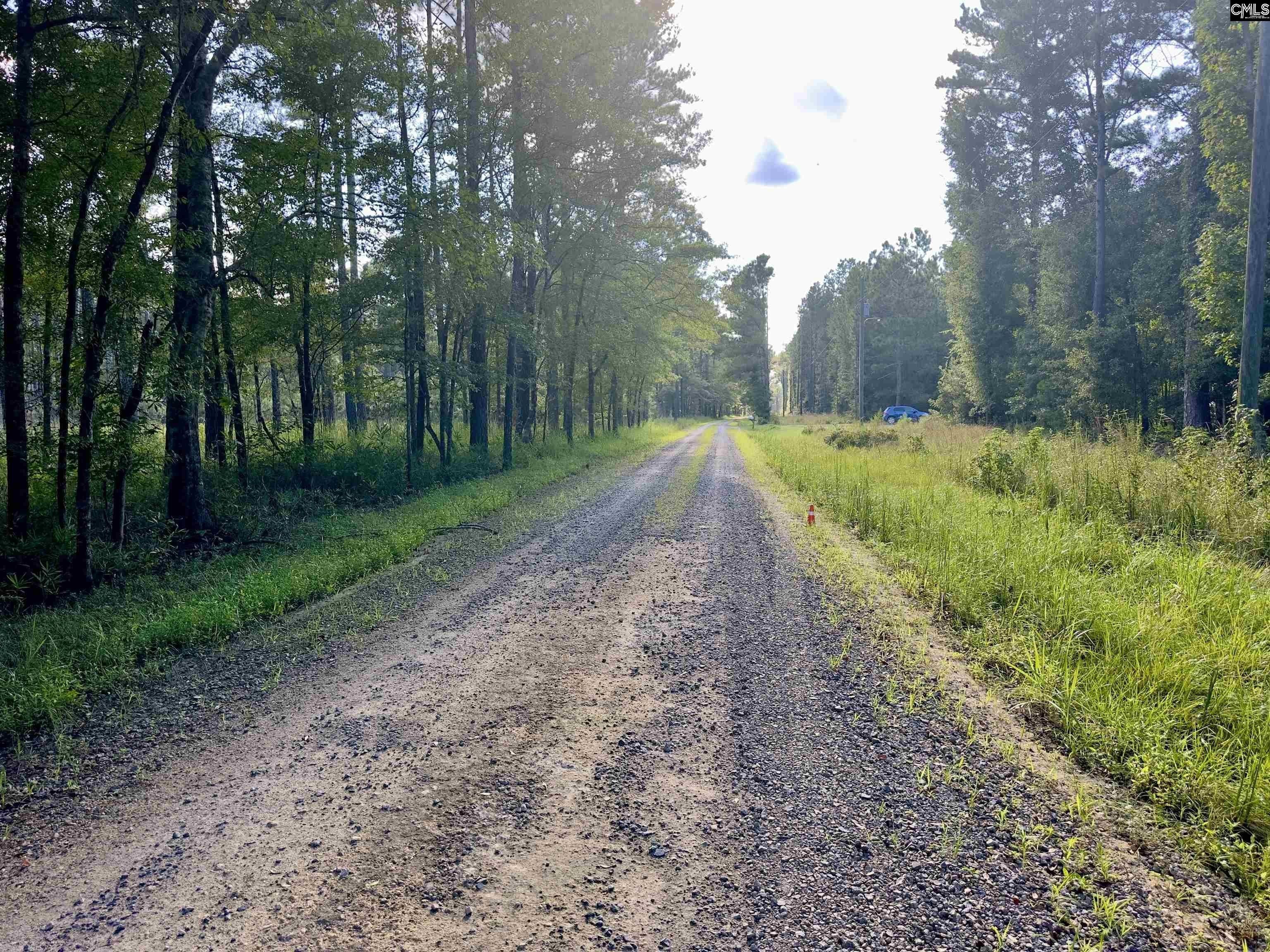 000 Morris Road, Huger, SC 29450 | MLS: 593296 | Land.com