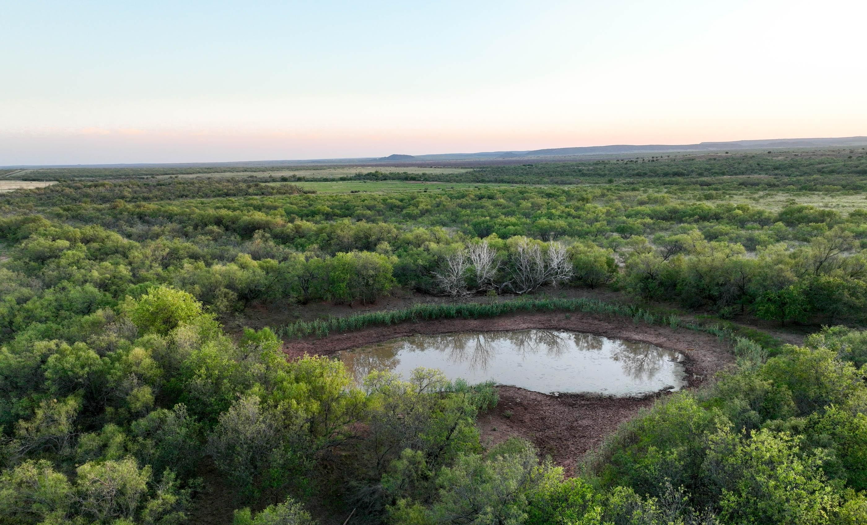 477 acres in East Afton, TX, 79229 | Land.com