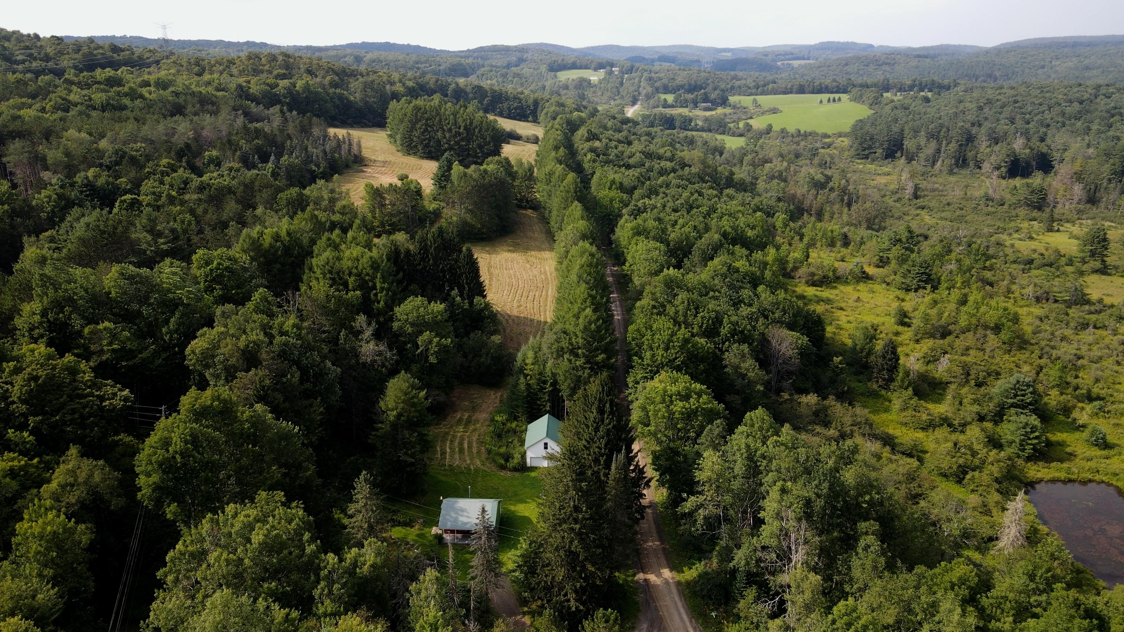 425 Quinlog Rd, Mount Vision, NY 13810 | Land.com