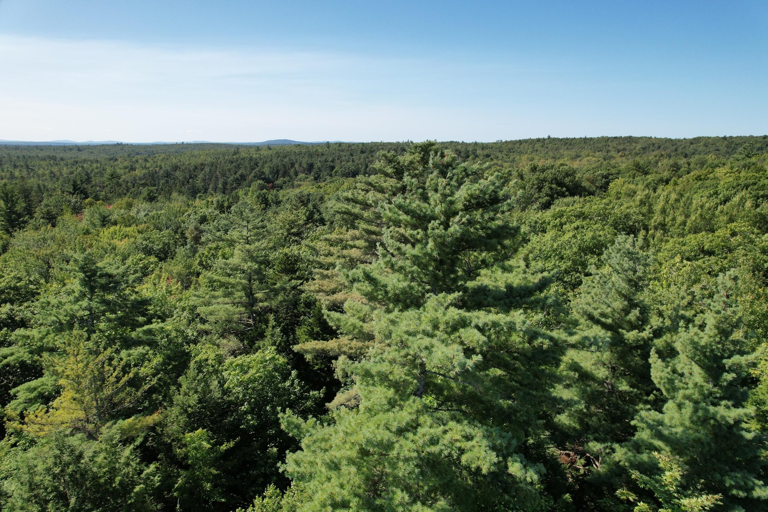 Lot 53 Robb Hill Road, Alexander, ME 04694 | MLS: 1604045 | Land.com