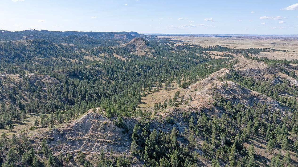 100 Stacey Rd, Volborg, MT 59351 | MLS: Castle Rock Ranch | Land.com
