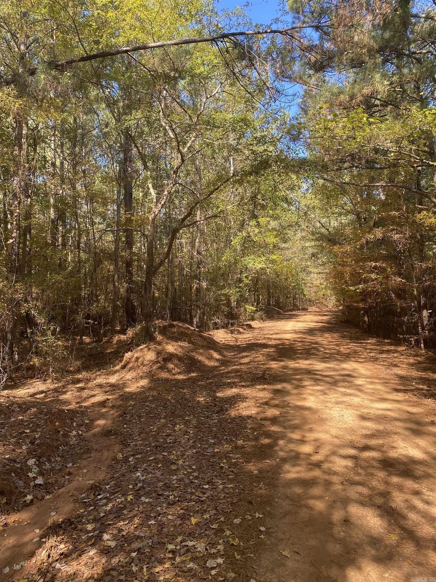 Mercer Bayou, Fouke, AR 71837 | MLS: 24034920 | Land.com