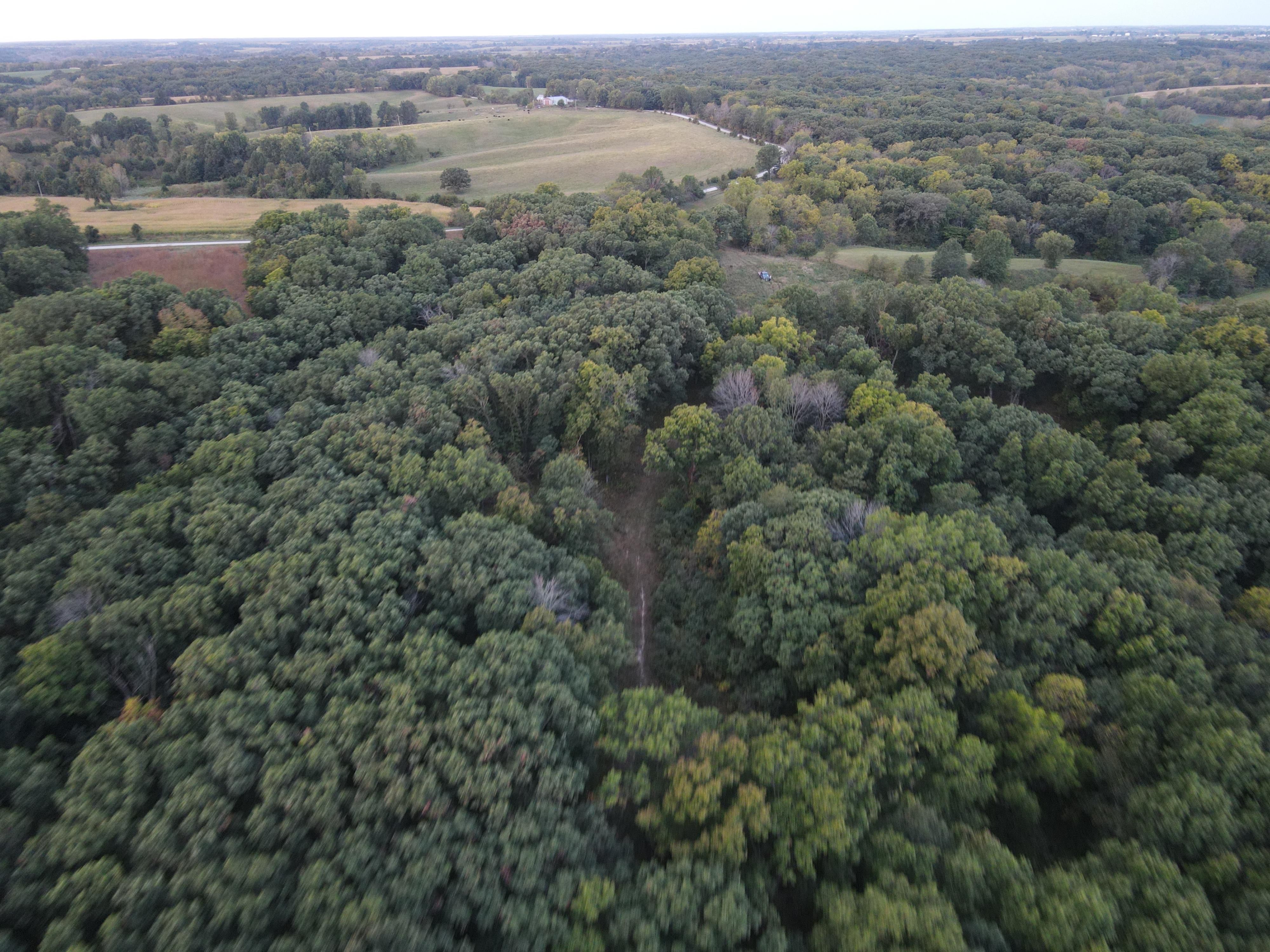 252nd Ave, Exline, IA 52544 | Land.com