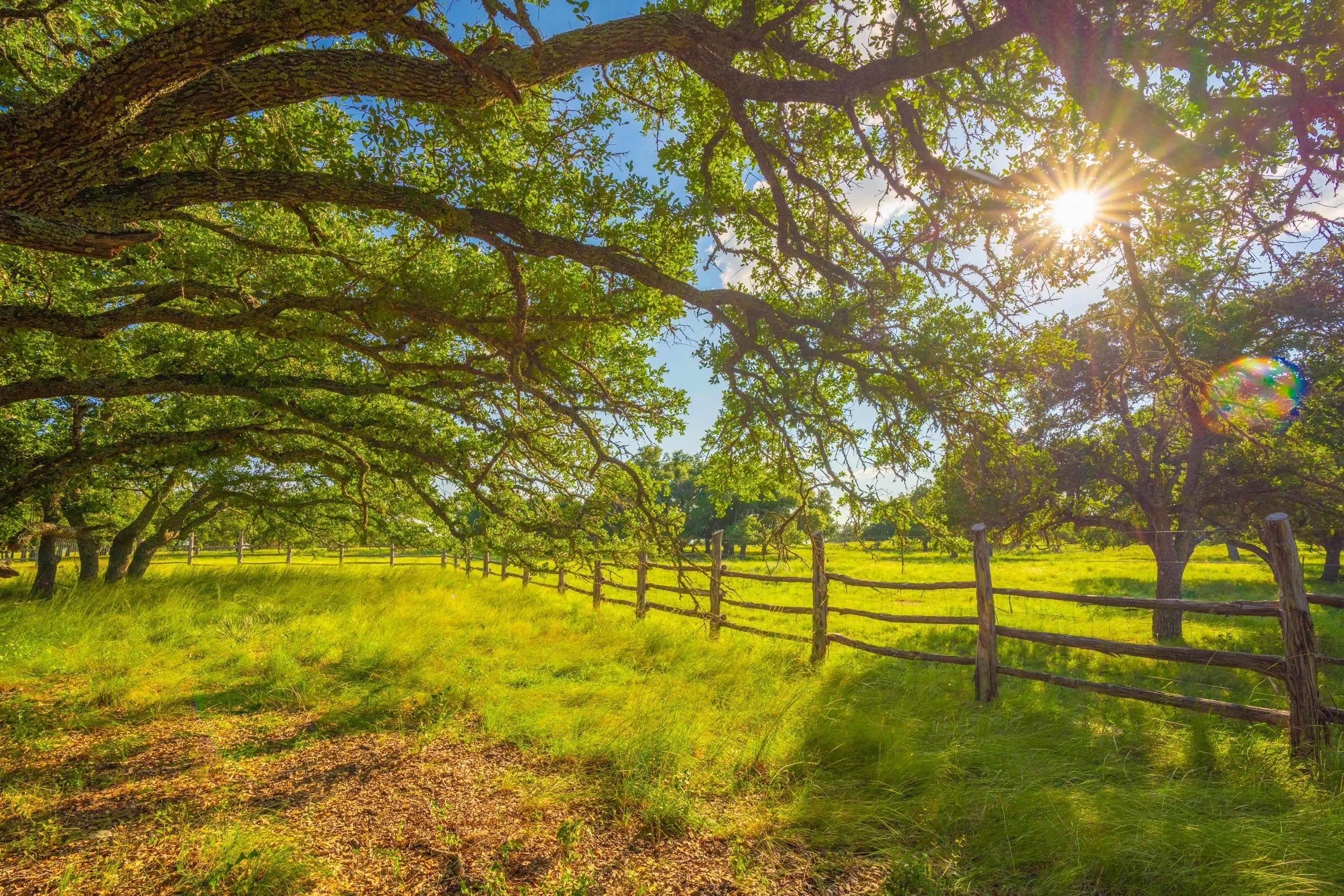 200 acres in Harper, TX, 78631 | Land.com