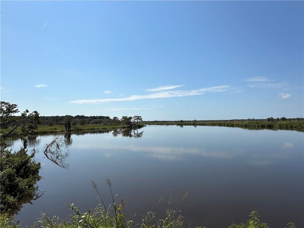 1231 River Drive, Darien, GA 31305 | MLS: 1649178 | Land.com