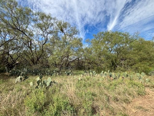 80 acres in Brady, TX, 76825 | Land.com
