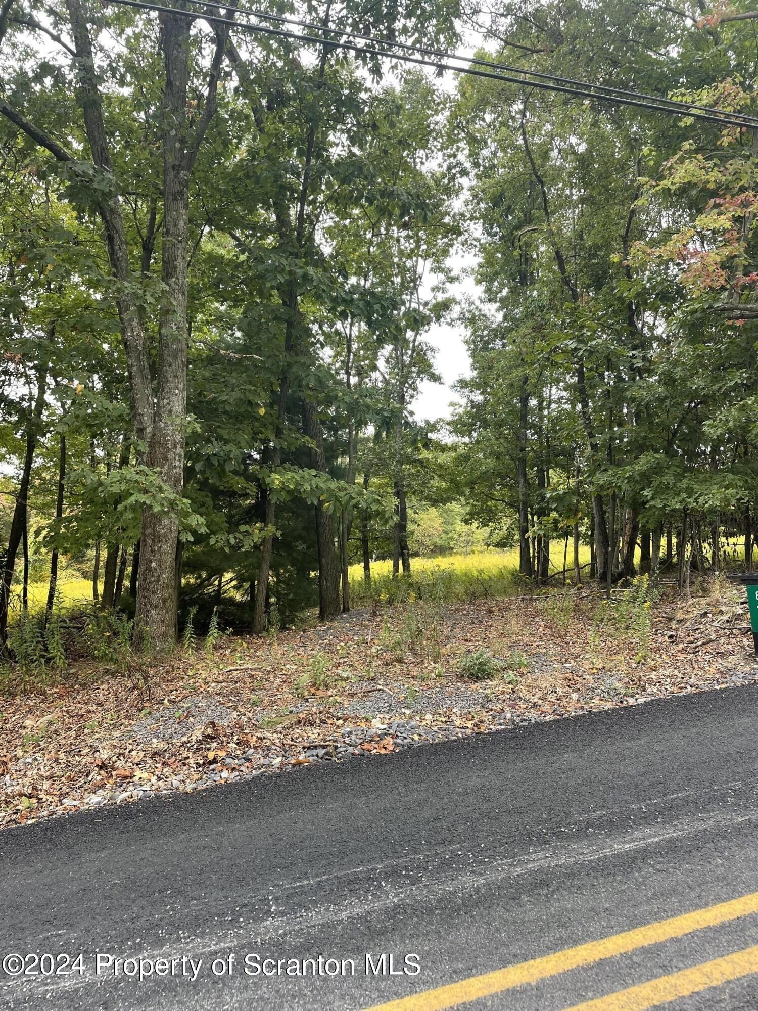 N Sekol Ave L 2, Ransom, PA 18504 | MLS: SC5013 | Land.com