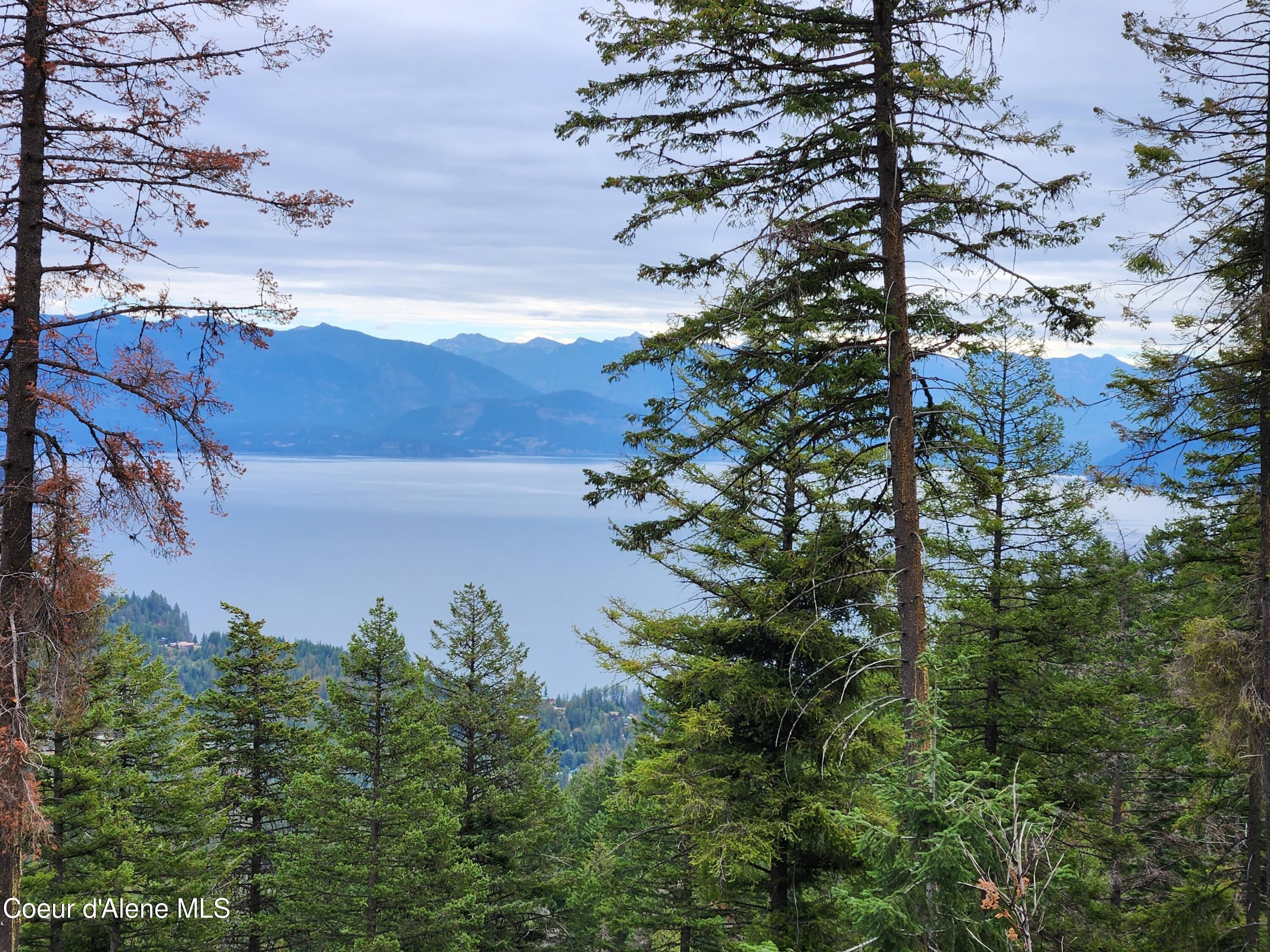 Nna Talache Black Trail, Sagle, ID 83860 | MLS: 24-9442 | Land.com