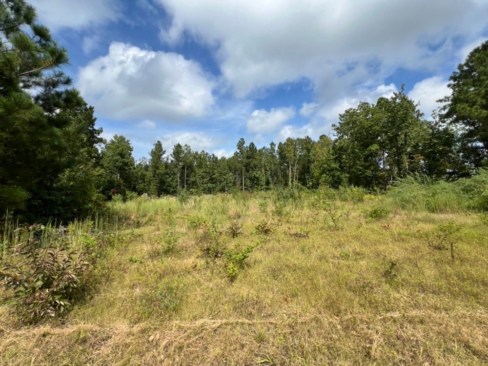 Off Hwy 261, Lot#WP001, Centerville, NC 27549 | Land.com