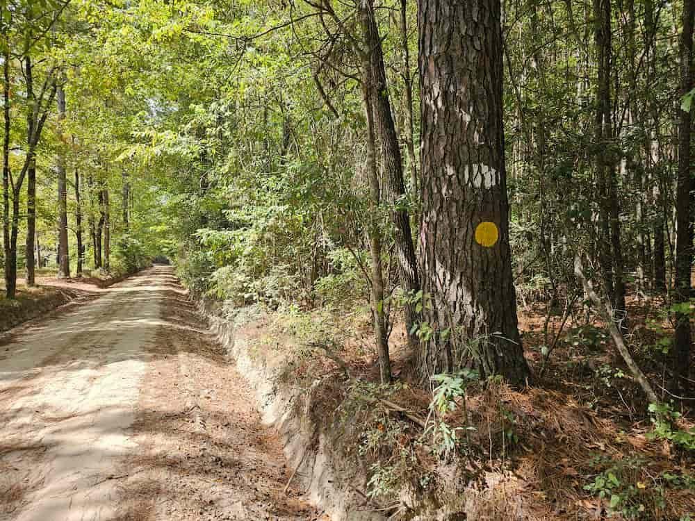 58 acres in Junction City, AR, 71749 | MLS: 7405 - Corney 60 | Land.com