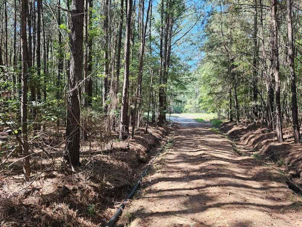 20 acres in El Dorado, AR, 71730 | MLS: 7404 - Holler Tract | Land.com