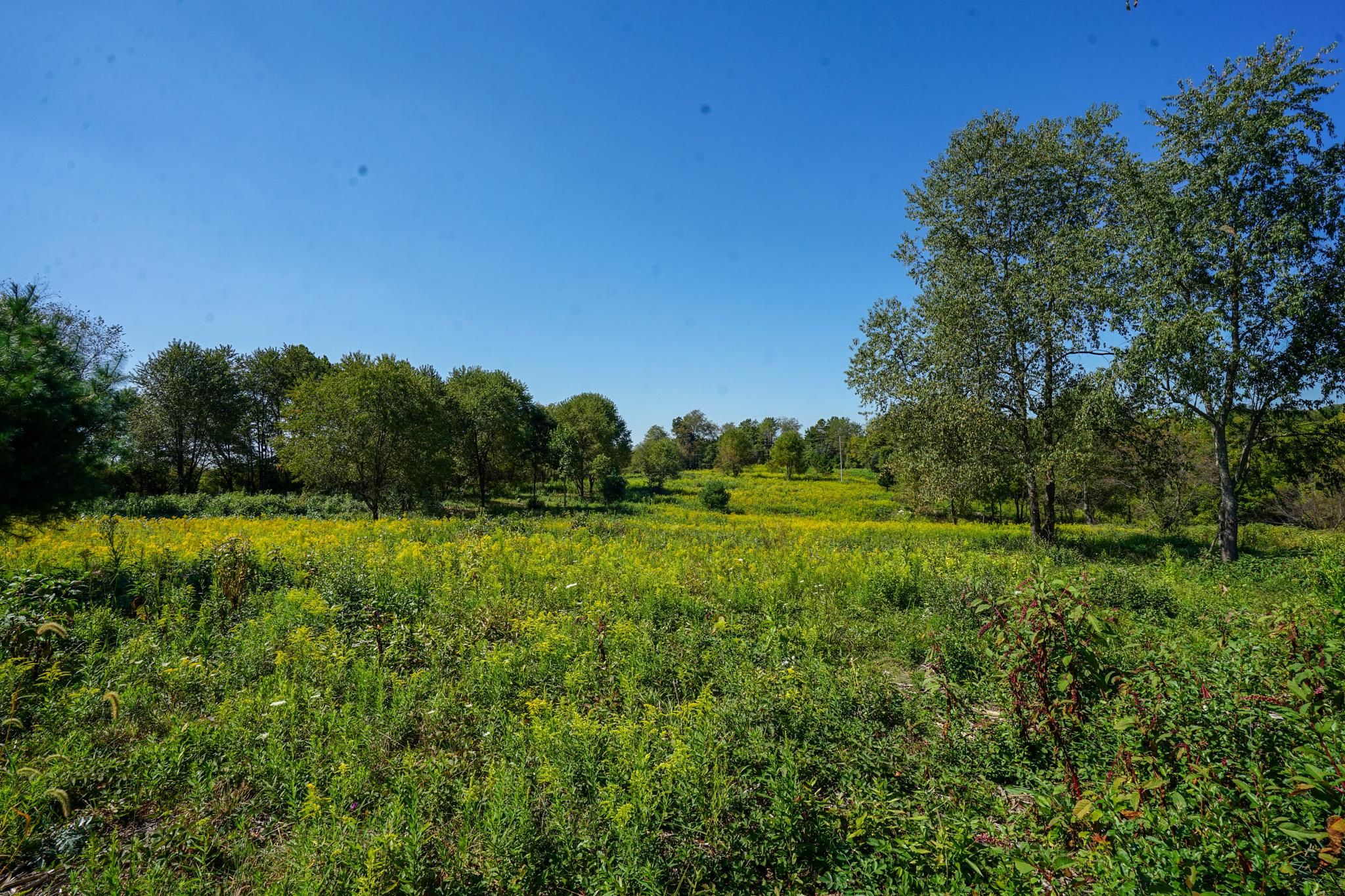 Rye Ln, Kimbolton, OH 43749 | Land.com