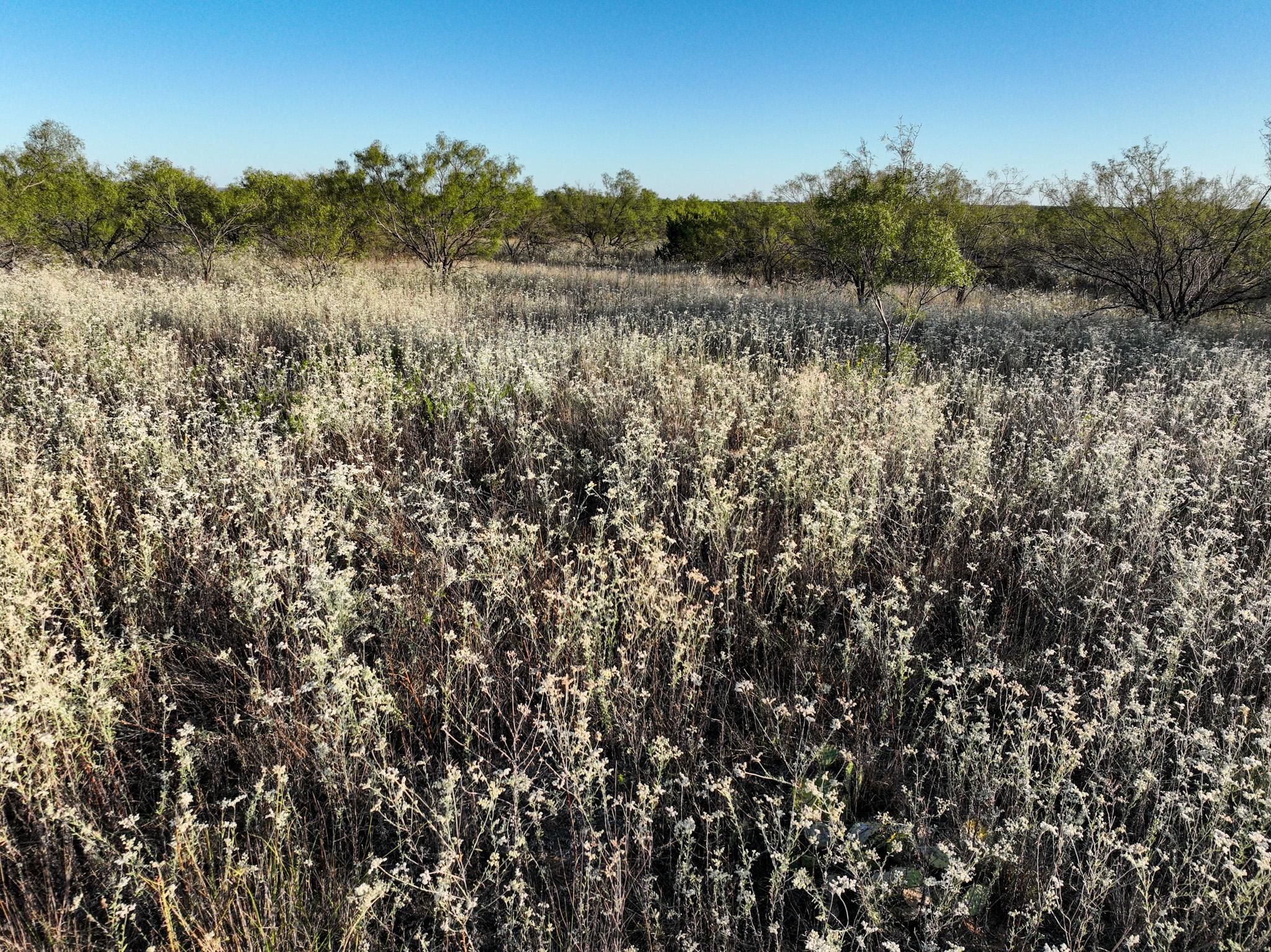 79.7 acres in Swenson, TX, 79502 | Land.com