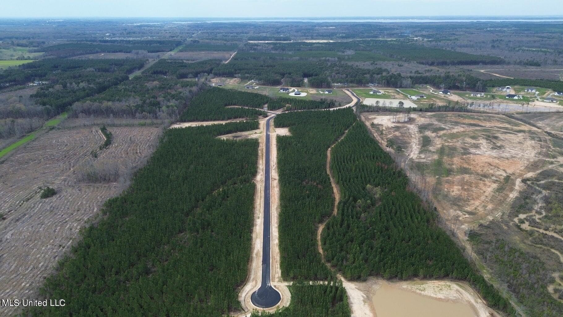 733 Freedom Ridge Lane, Brandon, MS 39047 | MLS: 4093226 | Land.com