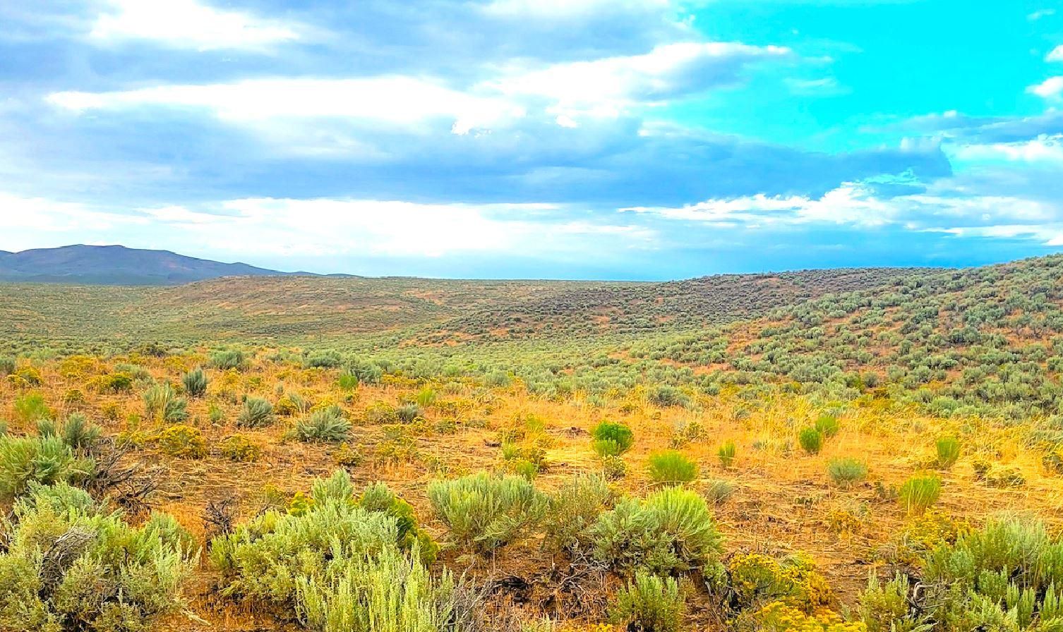 4.41 acres in Elko, NV, 89801 | Land.com