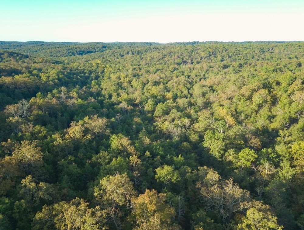 TBD County Road 1420, Clarkridge, AR 72623 | MLS: 1288669 | Land.com